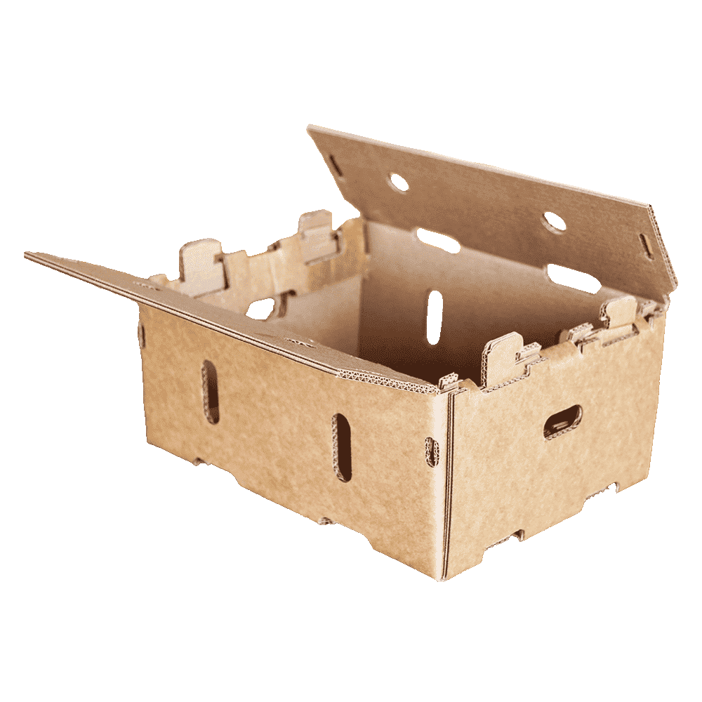Diseño de Cajas de Carton por Proyecto - RIVUS®
