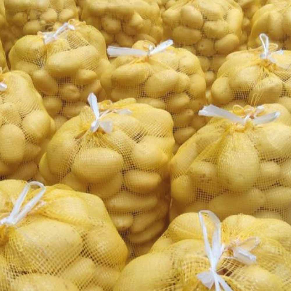 Arpilla circular 55x102cm amarillo - RIVUS®